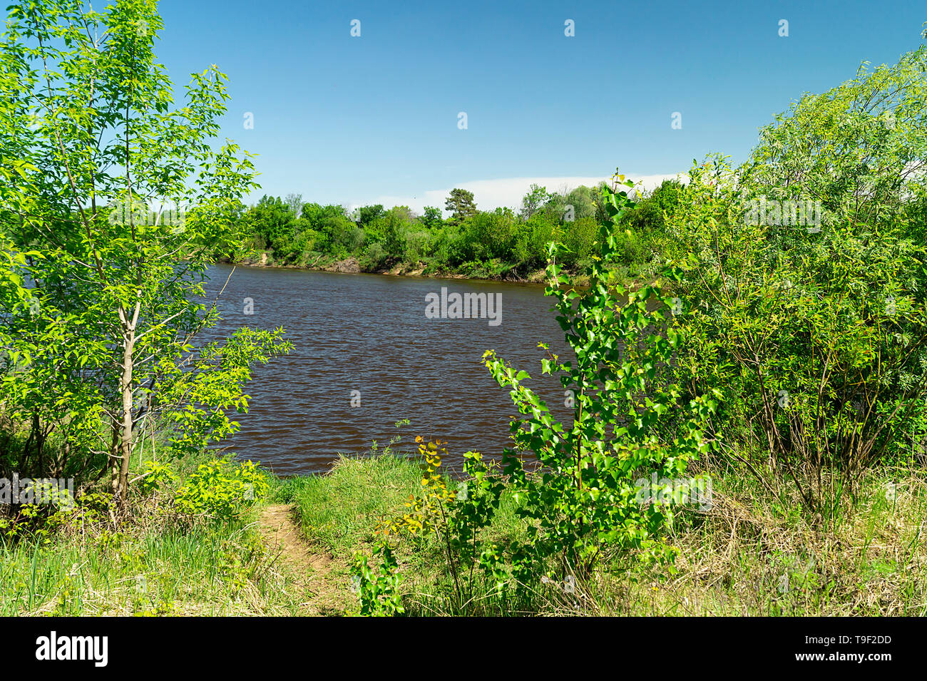Spring landscape in rural terrain with river on background blue sky ...