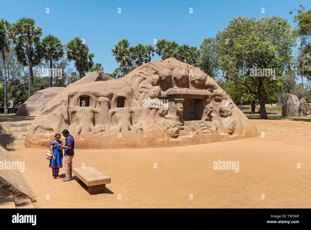 Tiger india temple hi-res stock photography and images - Alamy
