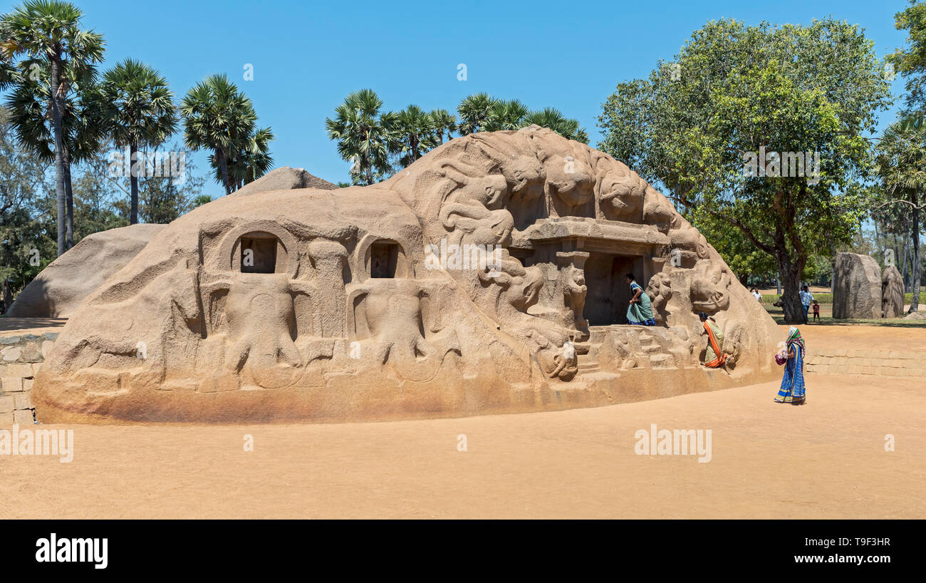 Tiger india temple hi-res stock photography and images - Alamy