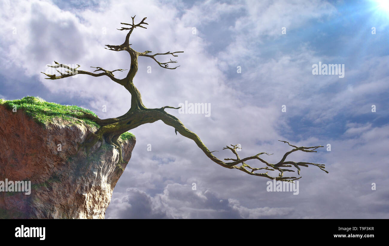 Tree Of Life High Resolution Stock Photography and Images - Alamy