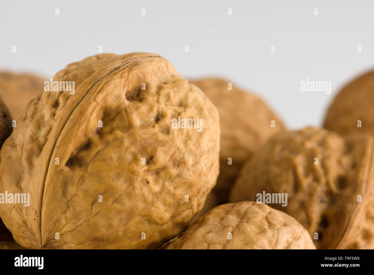 Walnut closeup image isolated on white background Stock Photo - Alamy