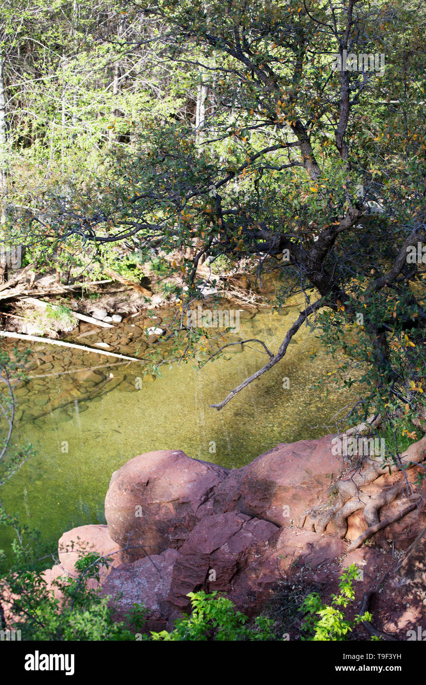National Forest Sedona Oak Creek Canyon Arizona Stock Photo - Alamy