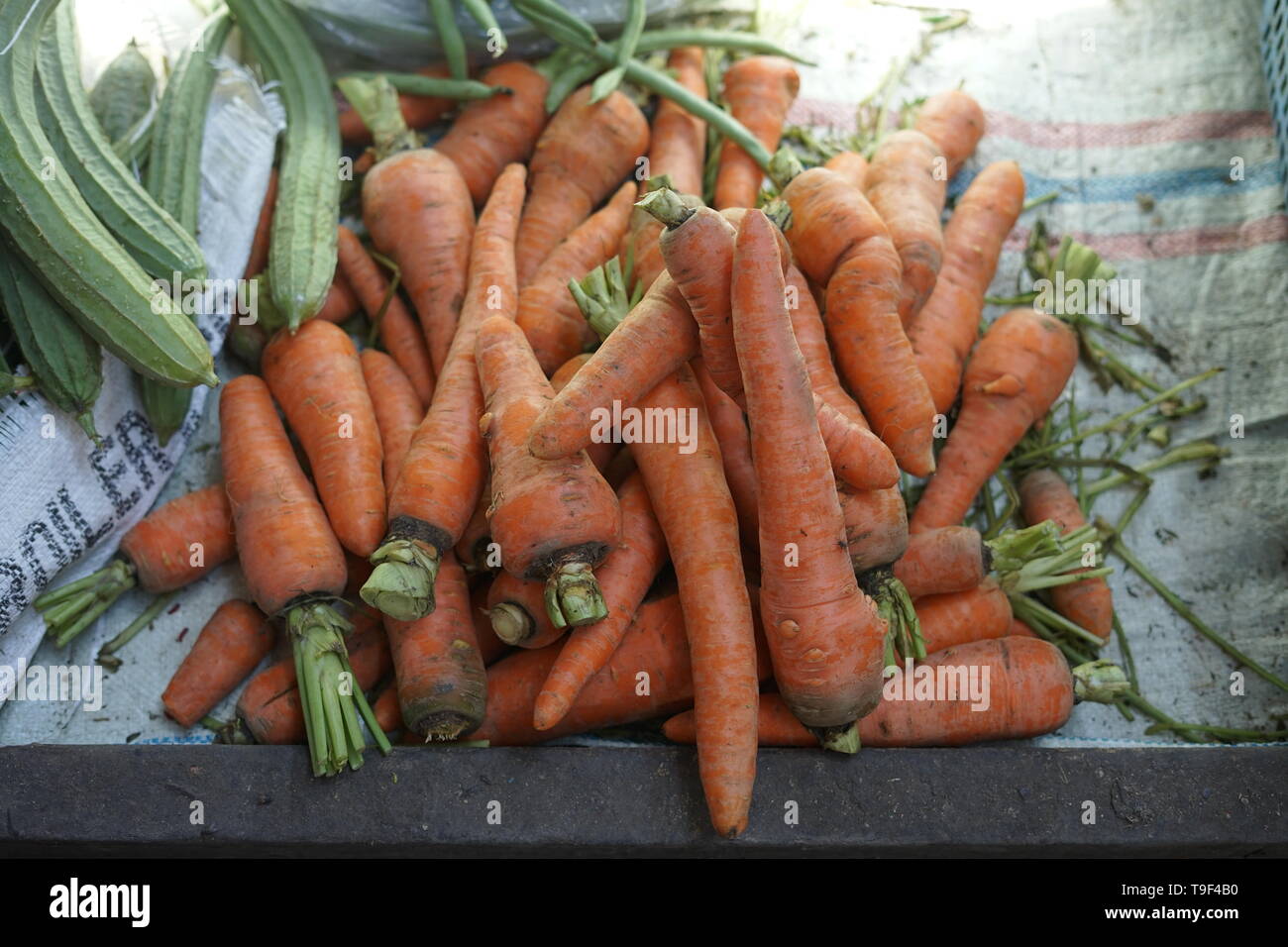 Bundles of Fresh organic carrots for sale at traditional market Stock ...