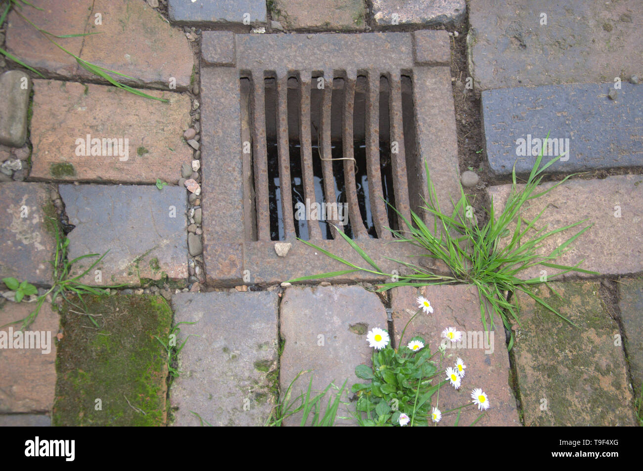 Antique drainage grate in Bridgnorth, Shropshire, United Kingdom Stock ...