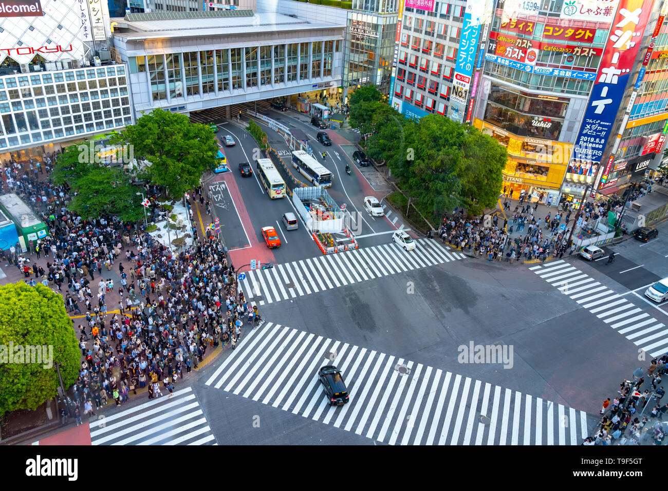 Shibuya Crossing is one of the busiest crosswalks in the world ...