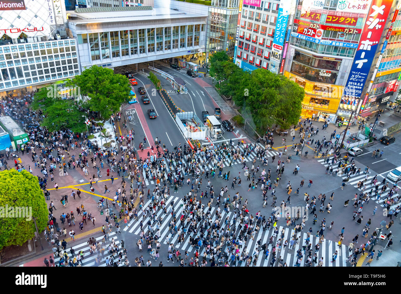 Shibuya Crossing is one of the busiest crosswalks in the world ...