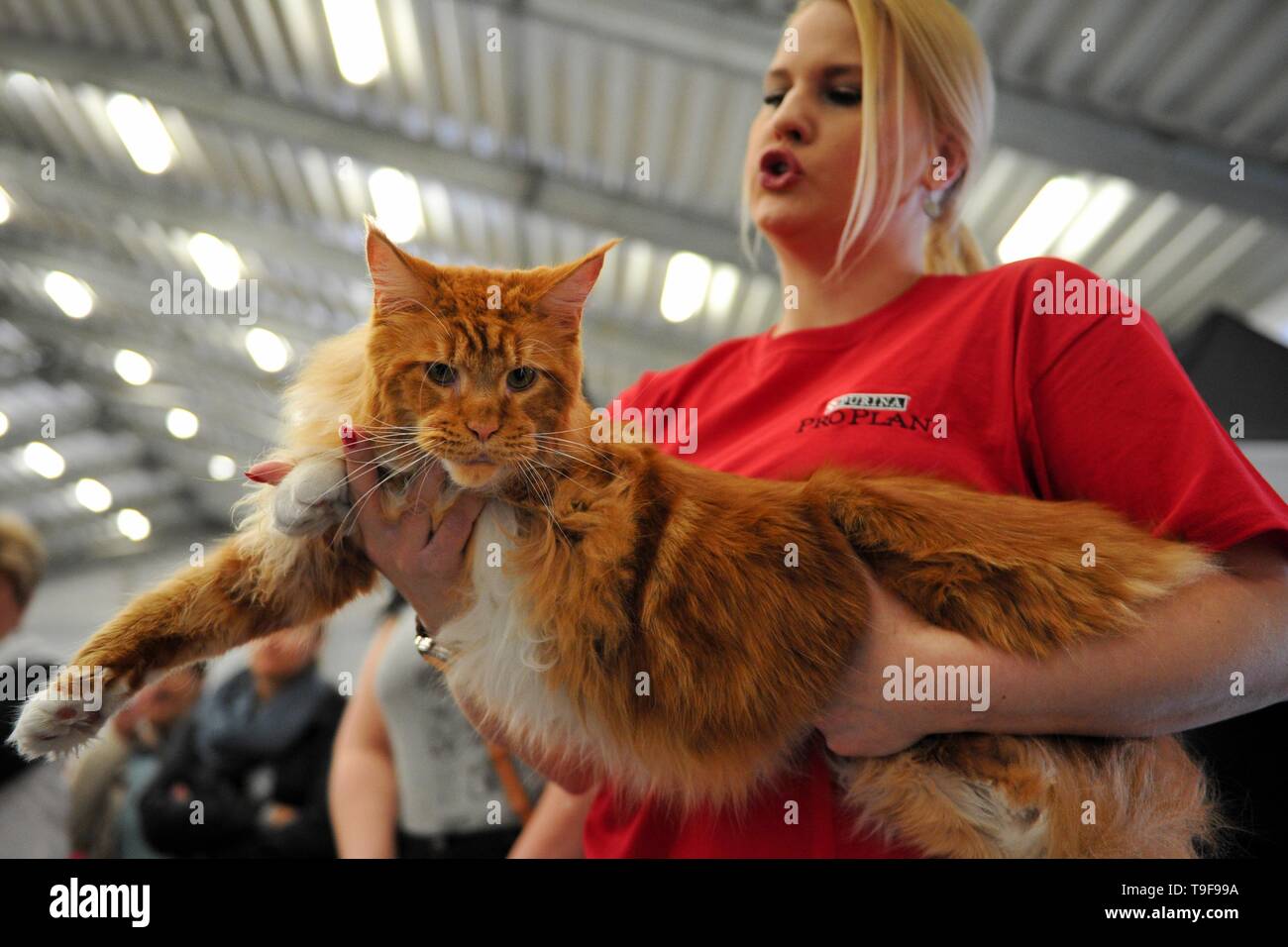 Prague, Czech Republic . May 18, 2019 - Prague, Czech Republic - More ...