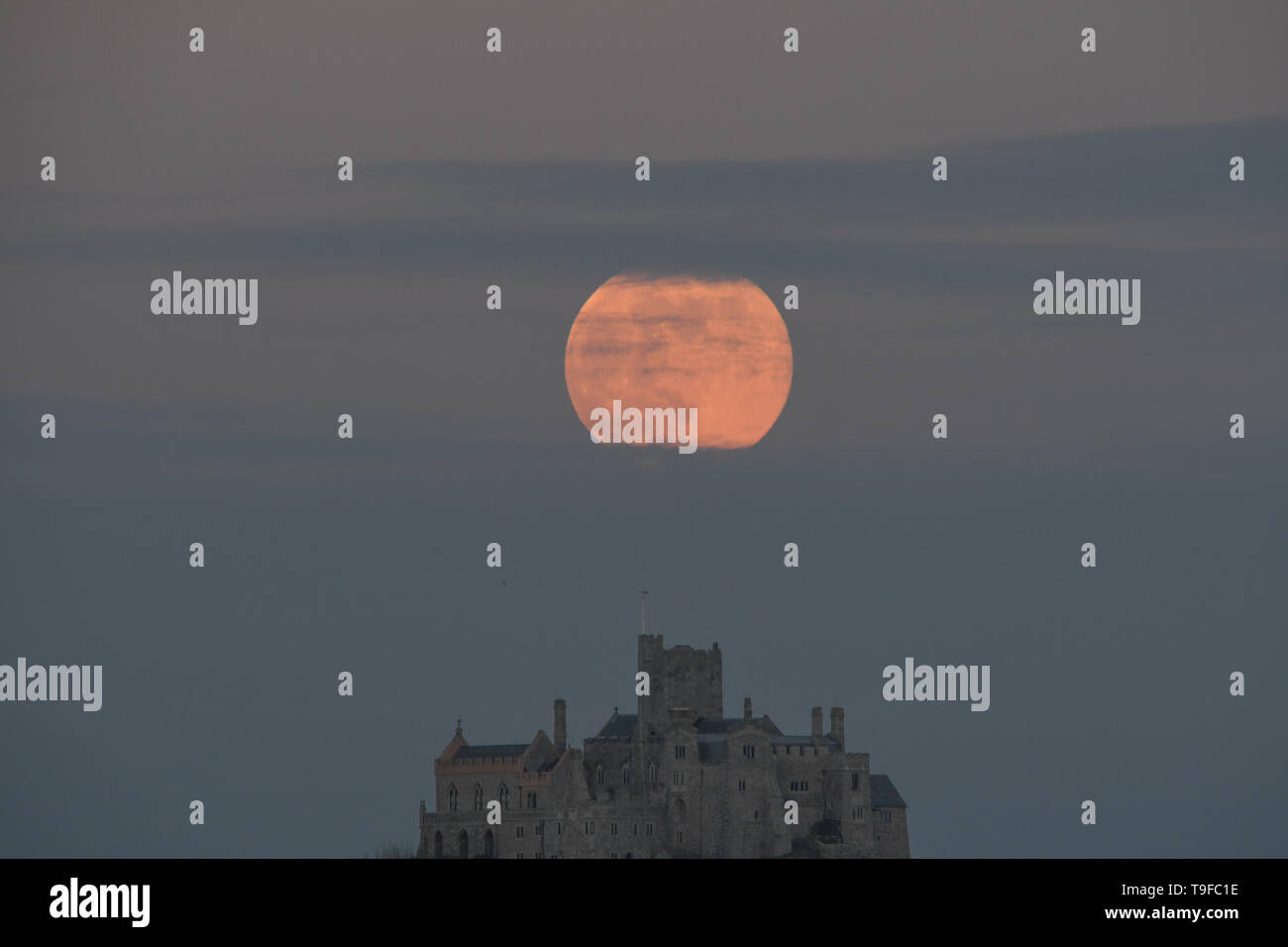 Alamy Flower High Resolution Stock Photography and Images - Alamy