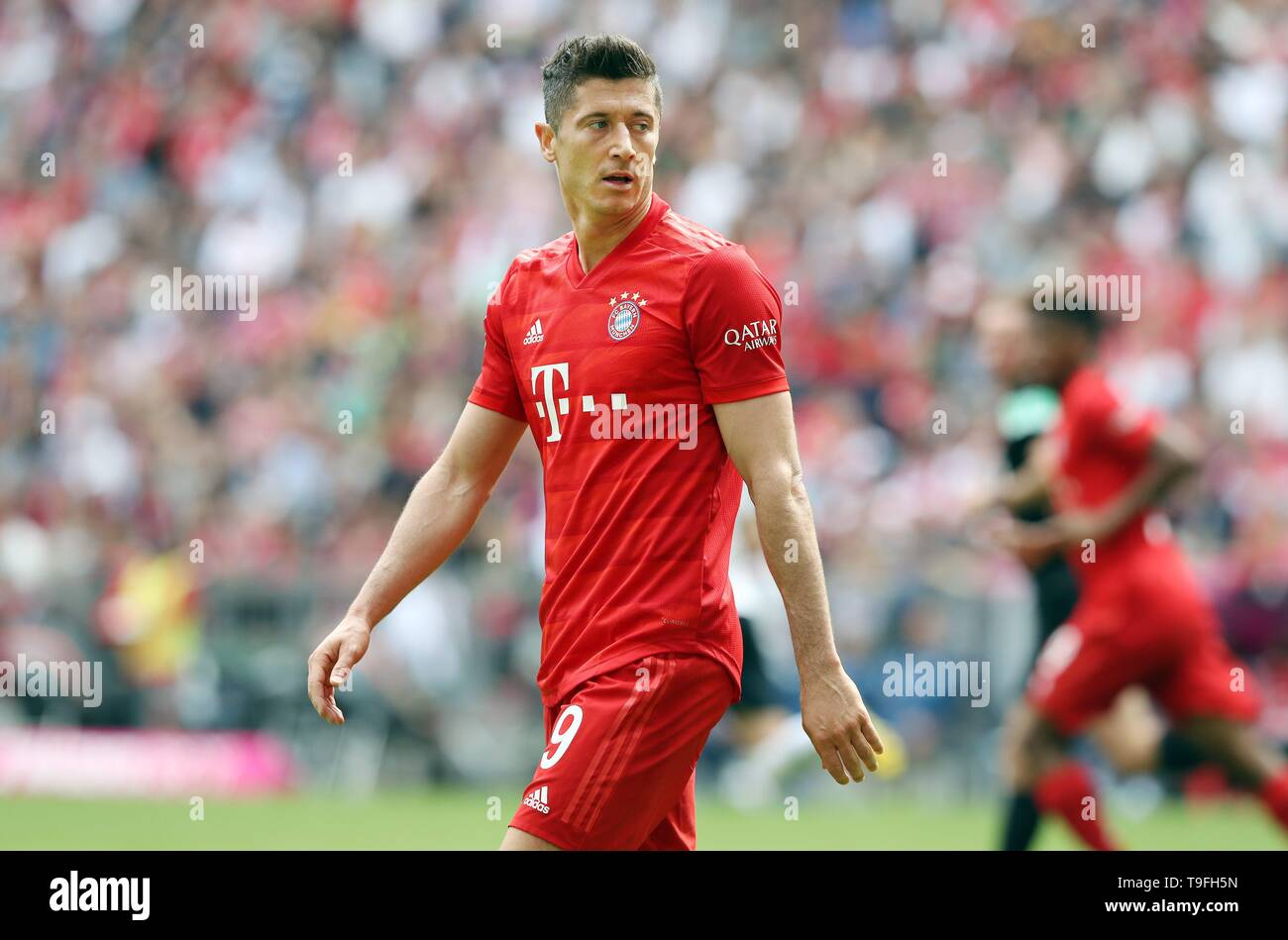 Lewandowski body hi-res stock photography and images - Alamy