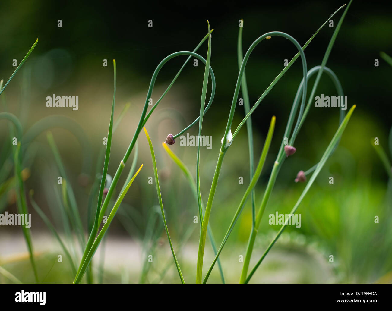 Two rock faces hi-res stock photography and images - Alamy