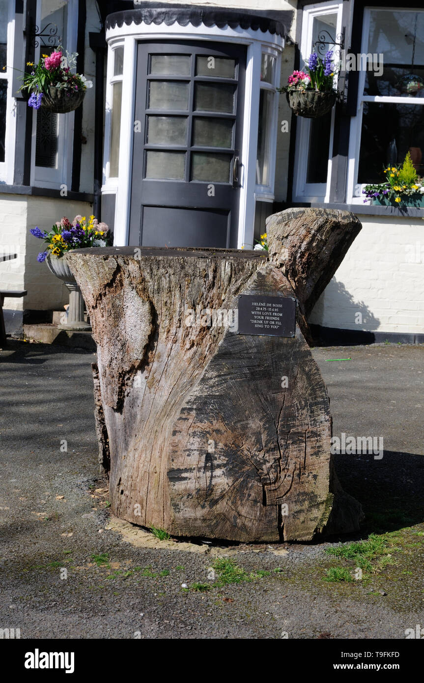 Tree and plaque to Helene De Boise, Letchmore Heath, Hertfordshire ...