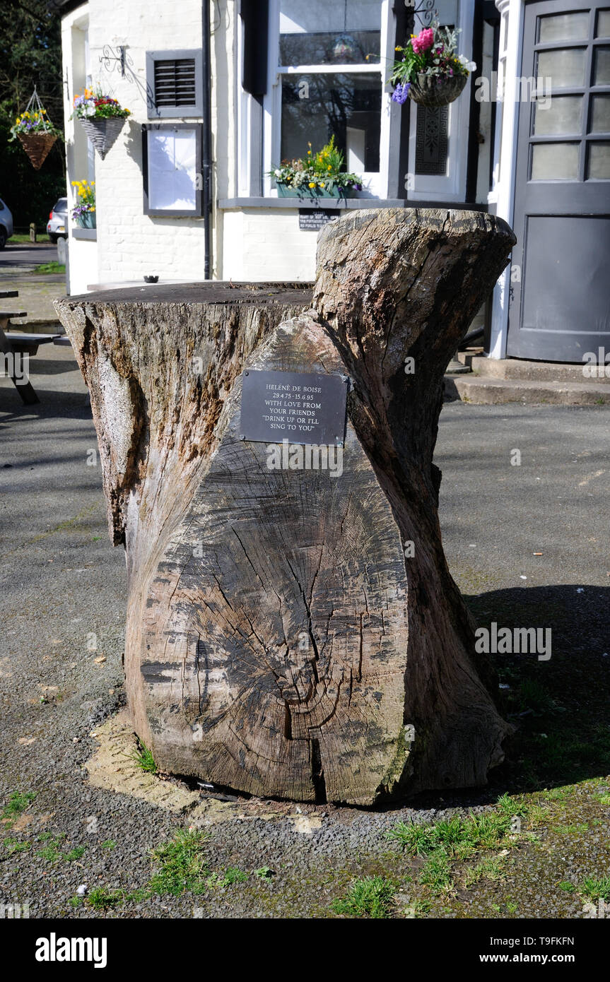 Tree and plaque to Helene De Boise, Letchmore Heath, Hertfordshire ...
