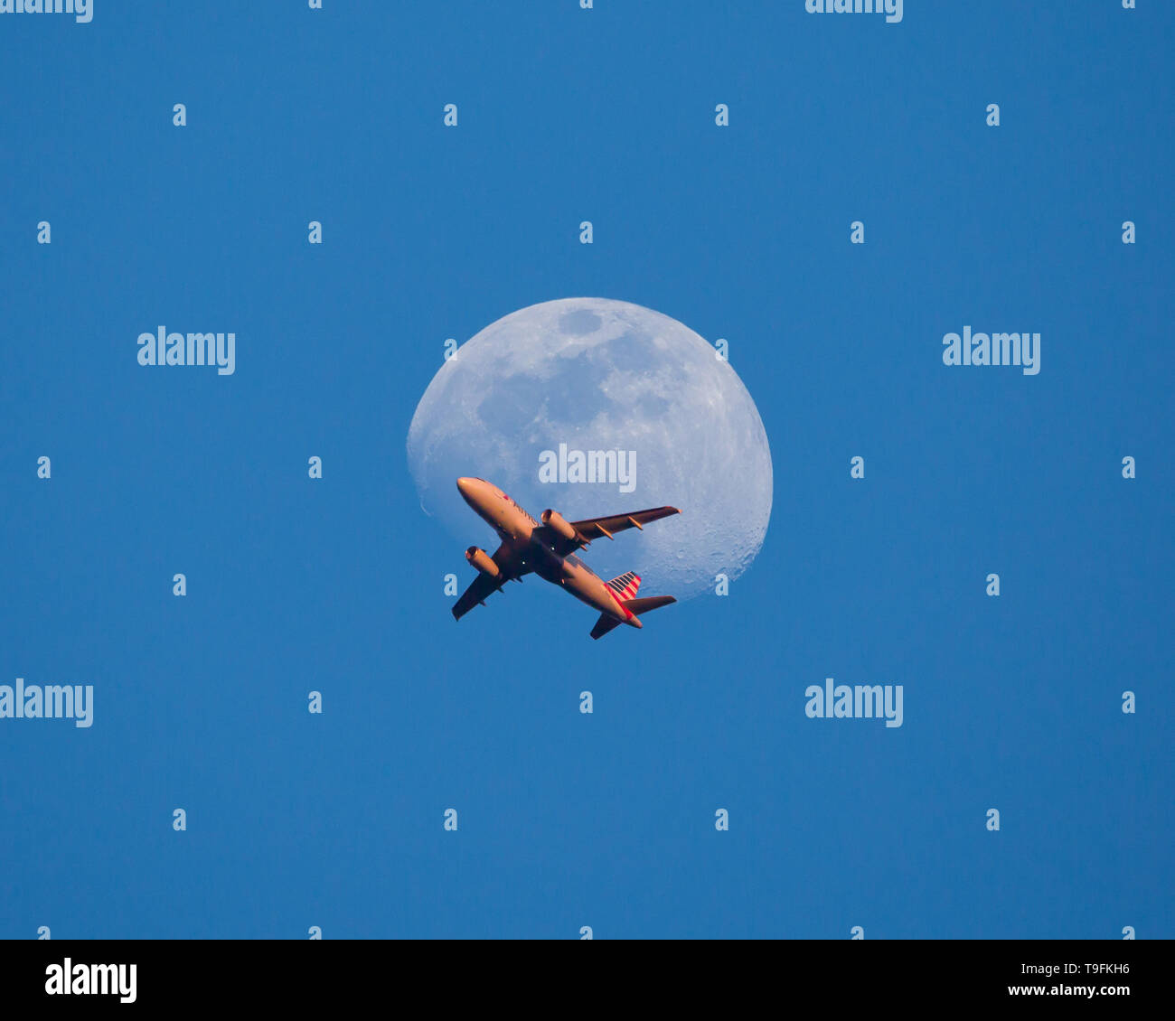 A commercial airliner passes in front of the moon at sunset shortly ...