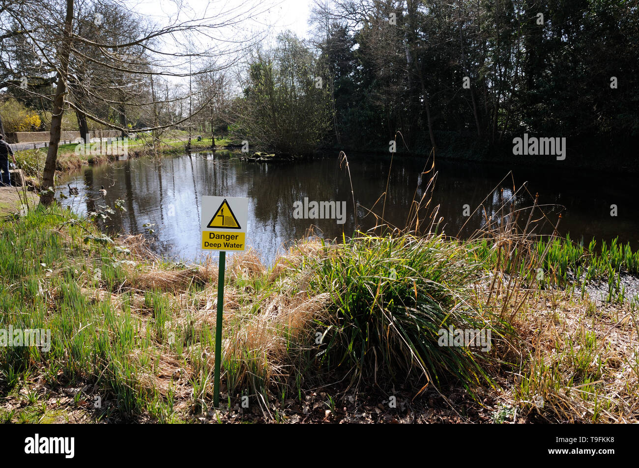 Letchmore Heath Pond, Letchmore Heath, Hertfordshire, is a beautiful ...