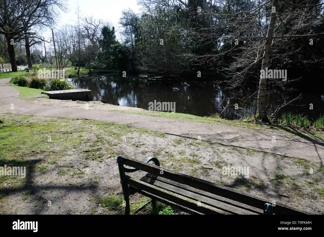 Pond, Letchmore Heath, Hertfordshire Stock Photo - Alamy