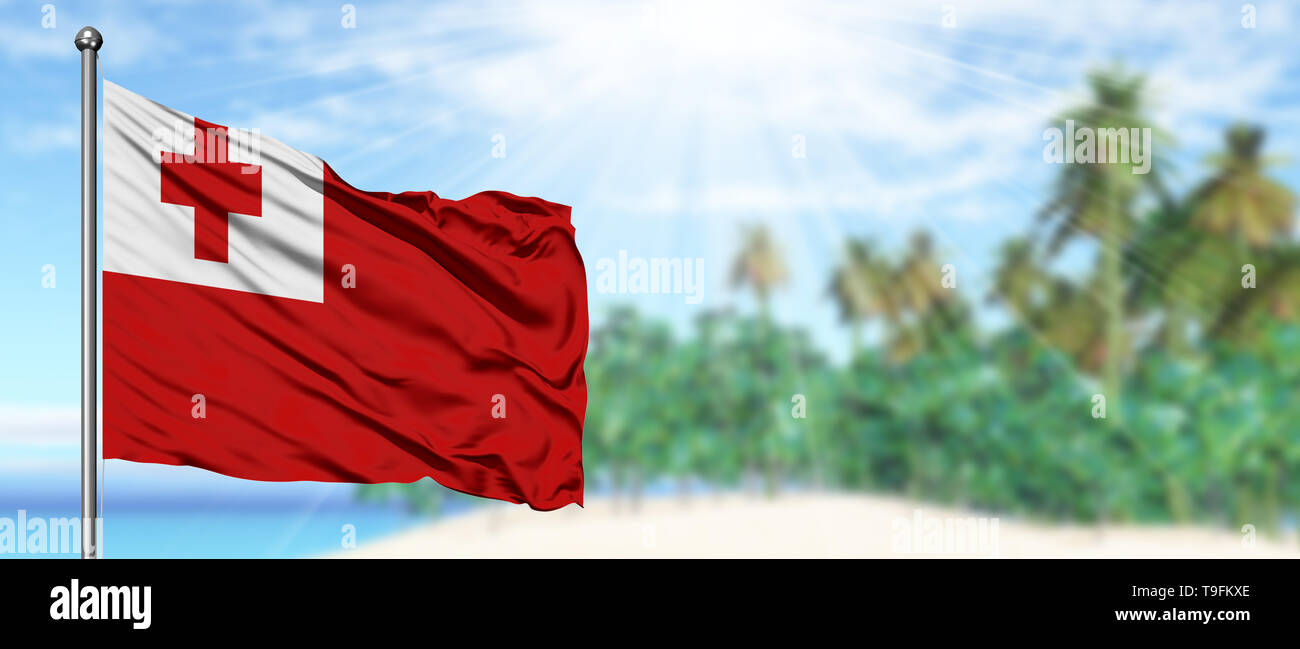 Waving Tonga flag in the sunny blue sky with summer beach background ...