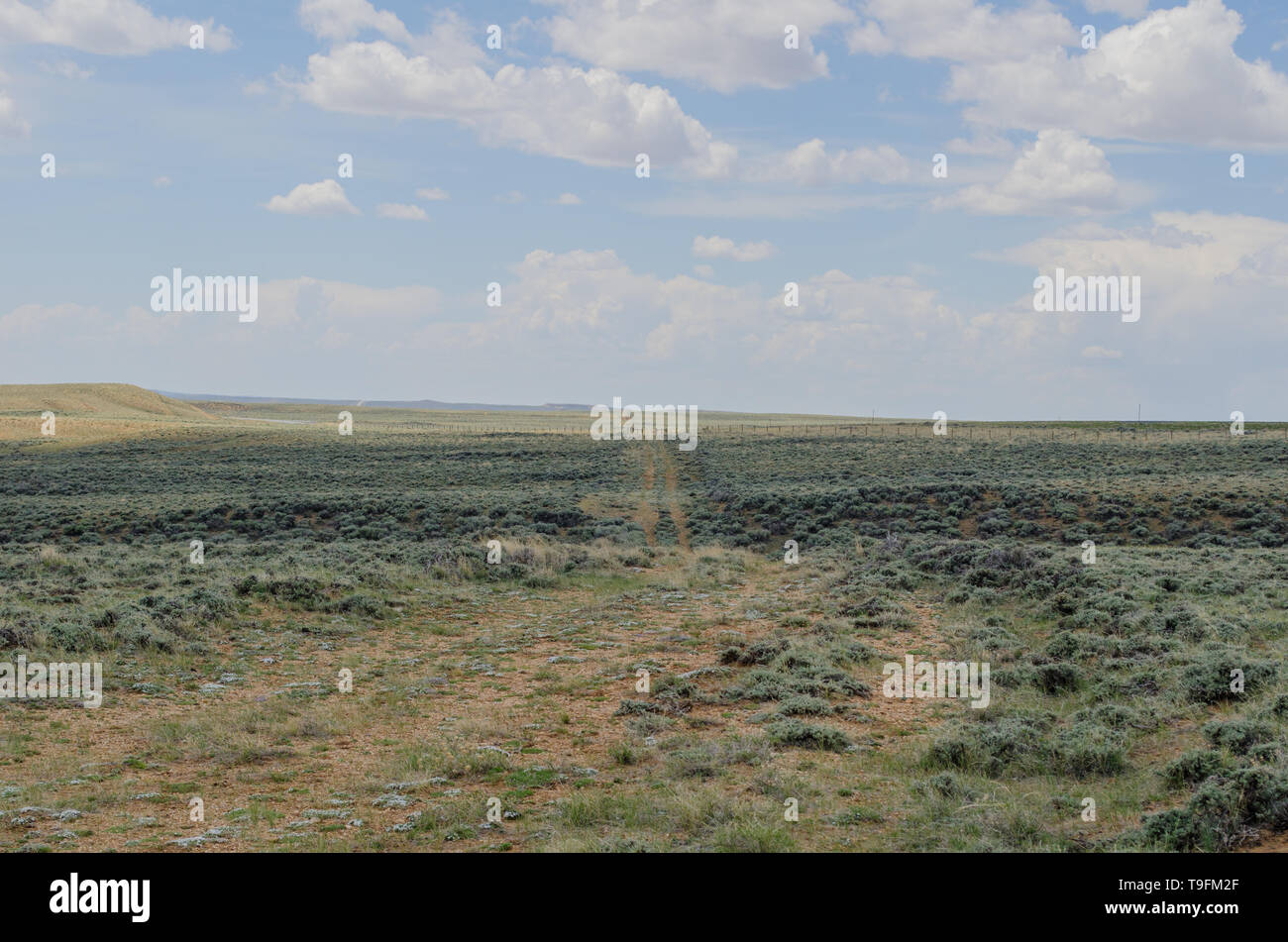 Oregon trail pioneer hi-res stock photography and images - Alamy