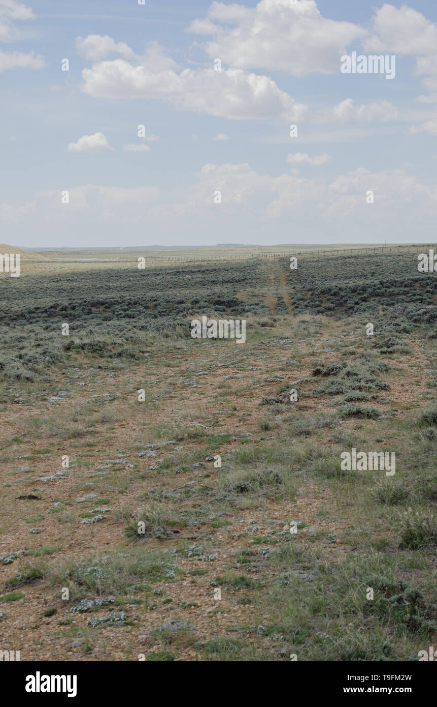 Oregon trail pioneer hi-res stock photography and images - Alamy