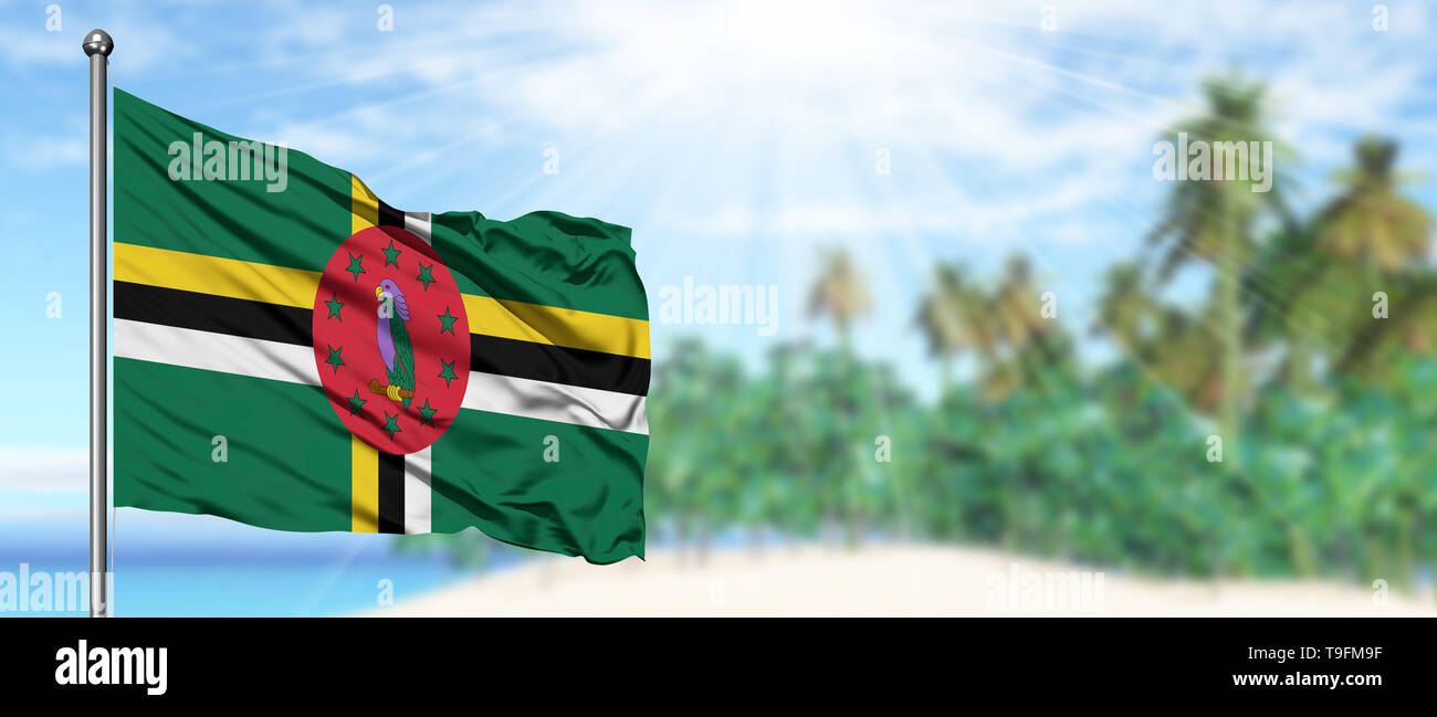 Waving Dominica flag in the sunny blue sky with summer beach background ...