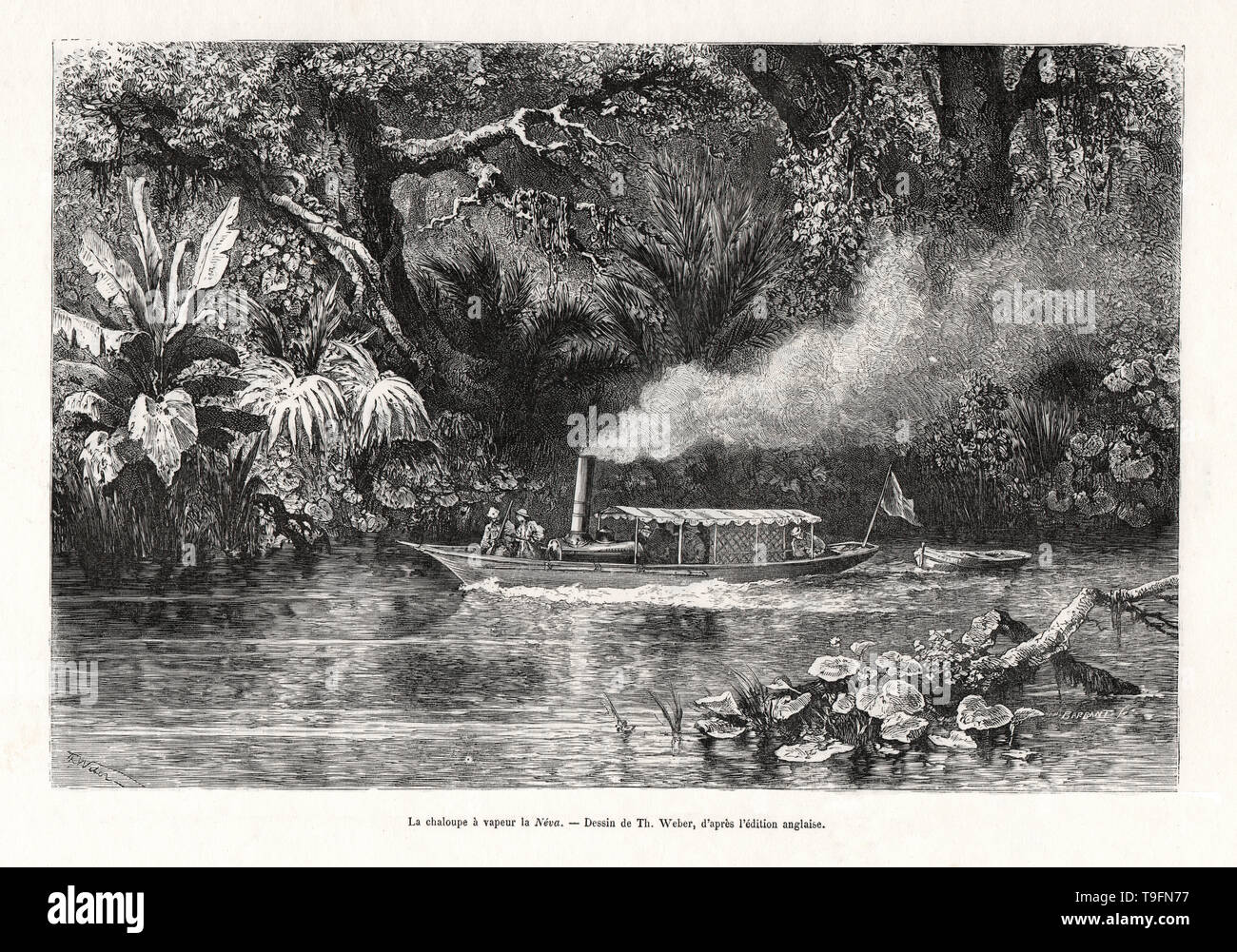 Fly river papua new guinea hi-res stock photography and images - Alamy