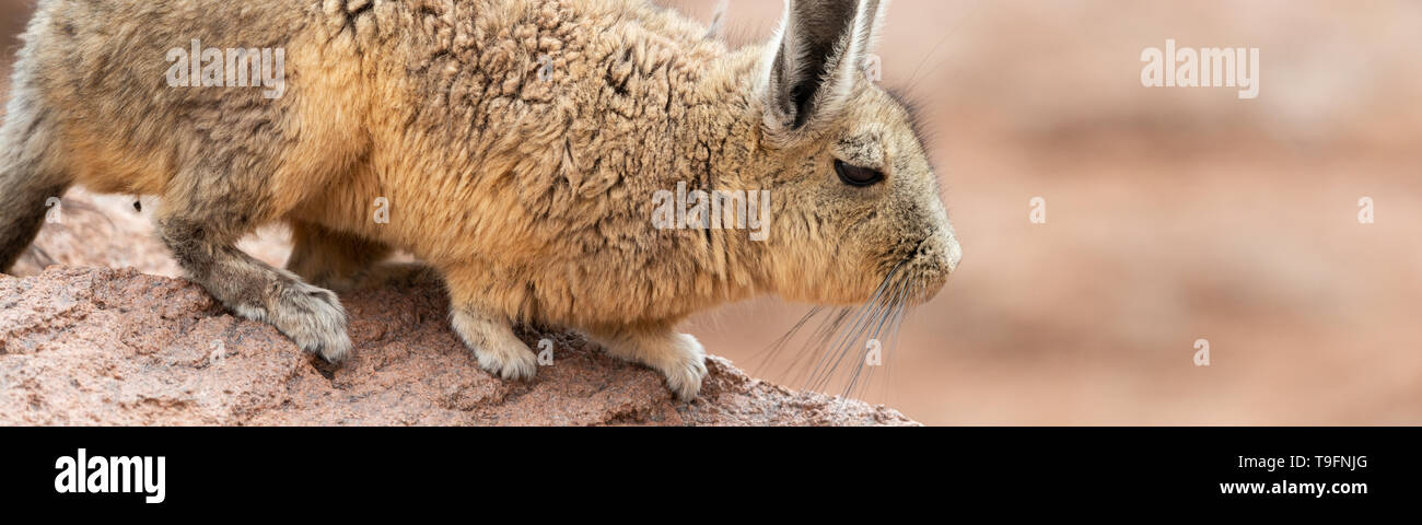 Best Of Nature Peru High Resolution Stock Photography and Images - Alamy