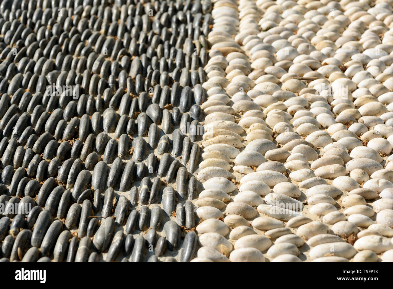 Pattern of round pebble stone. Background of the river rock pebbles ...
