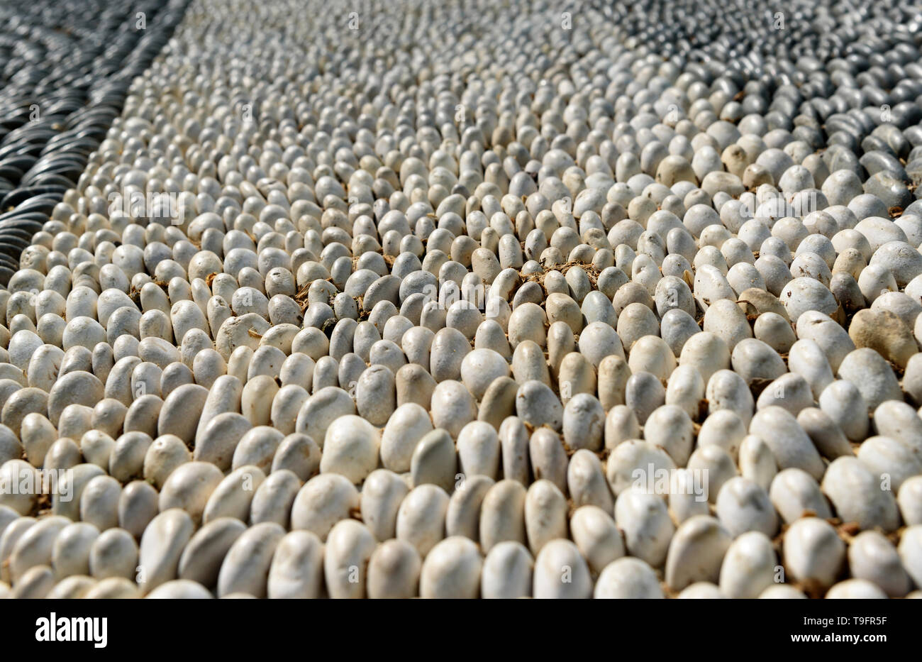 Pattern of round pebble stone. Background of the river rock pebbles ...