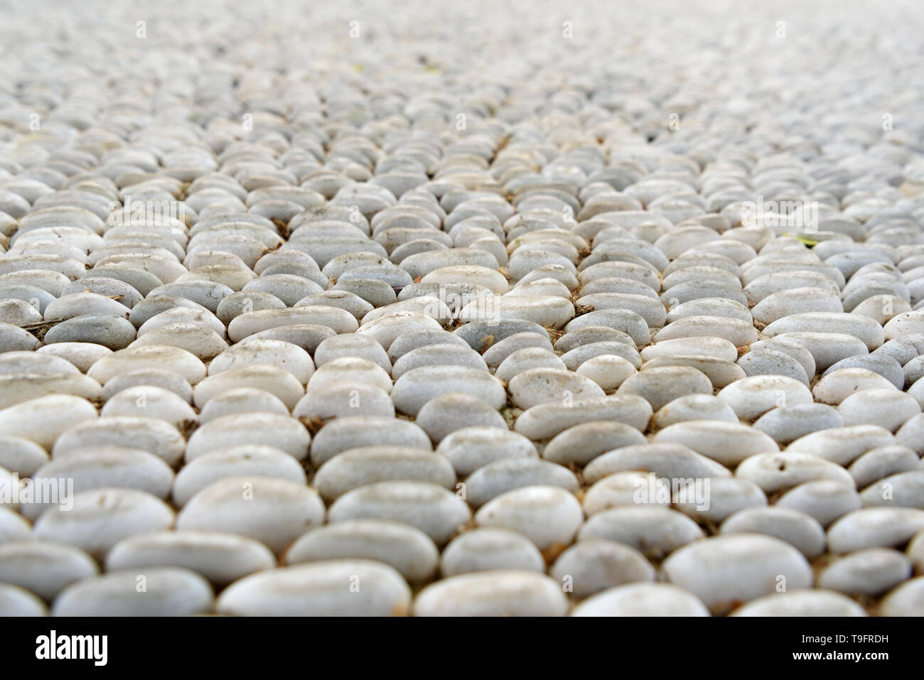 Pebbles concrete stone background hi-res stock photography and images ...