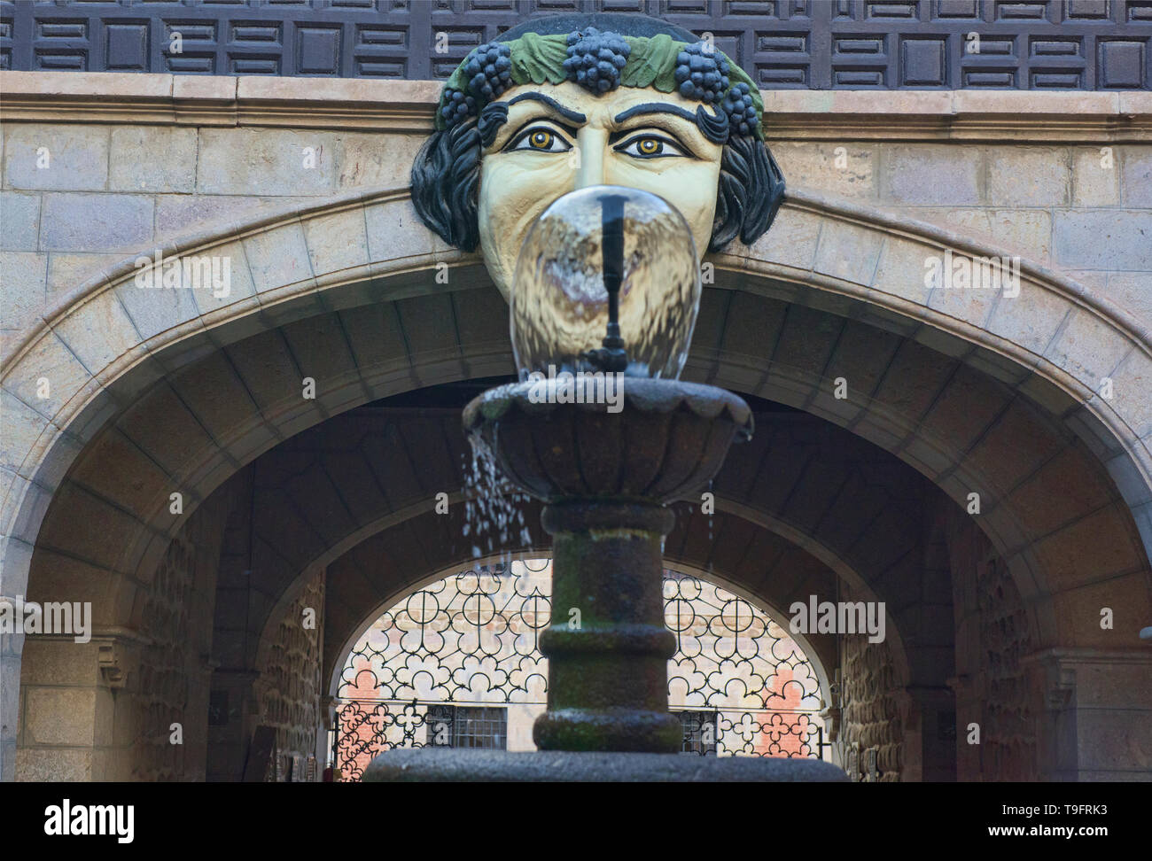 Bacchus mask in the courtyard of the Casa Nacional de la Moneda, Potosí ...