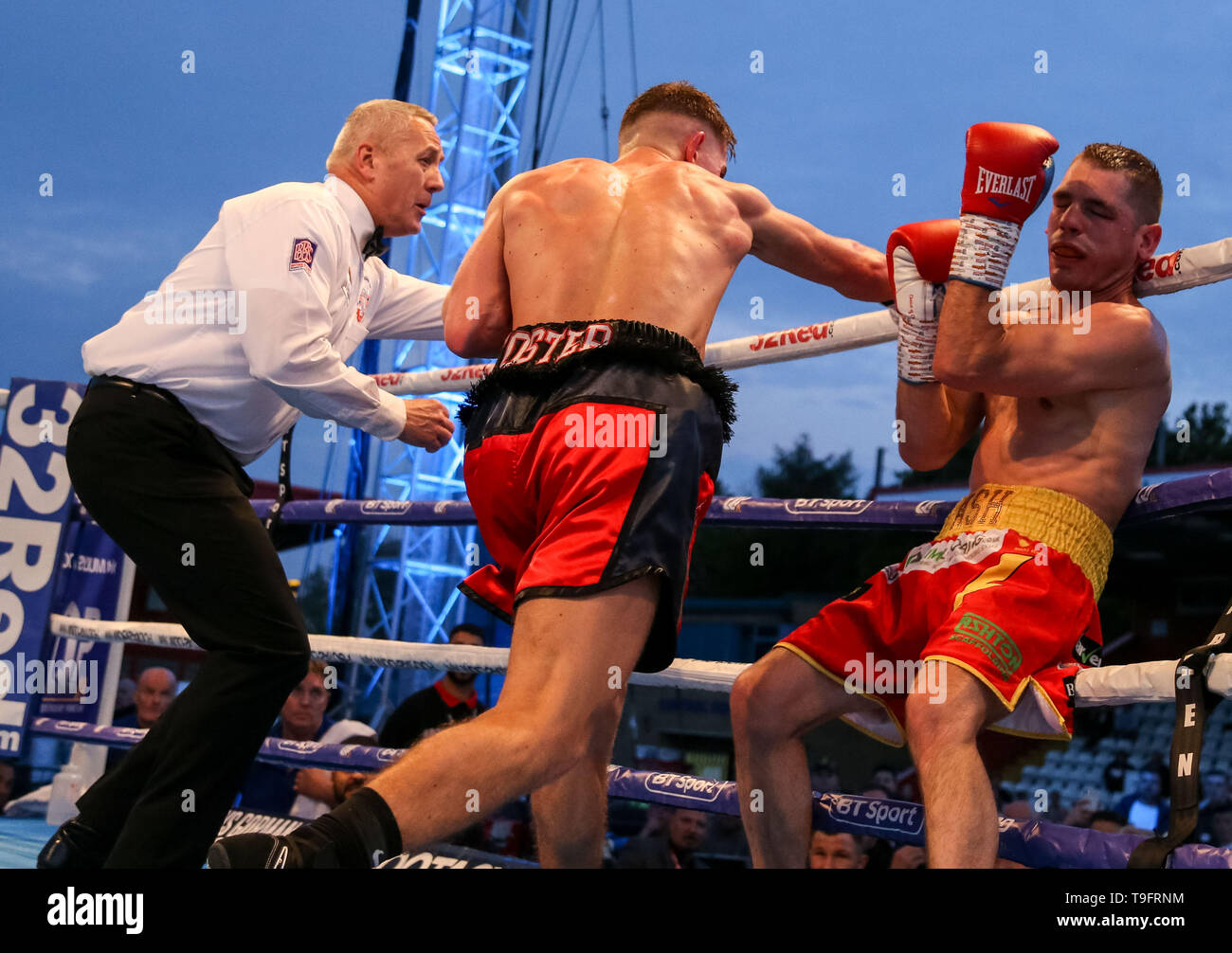 Ashley lane hi-res stock photography and images - Alamy