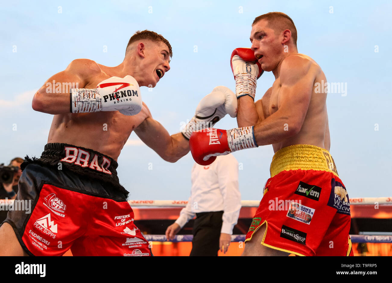 Ashley lane hi-res stock photography and images - Alamy