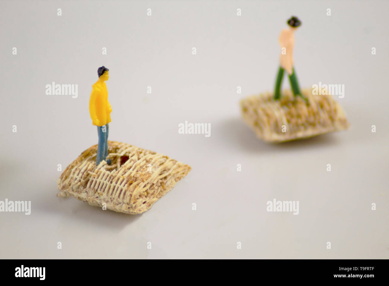 Miniature little hi-res stock photography and images - Alamy