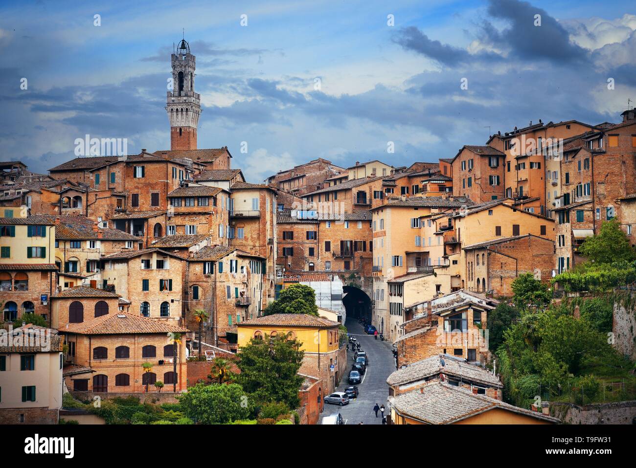Medieval town Siena skyline view with historic buildings and Town Hall ...