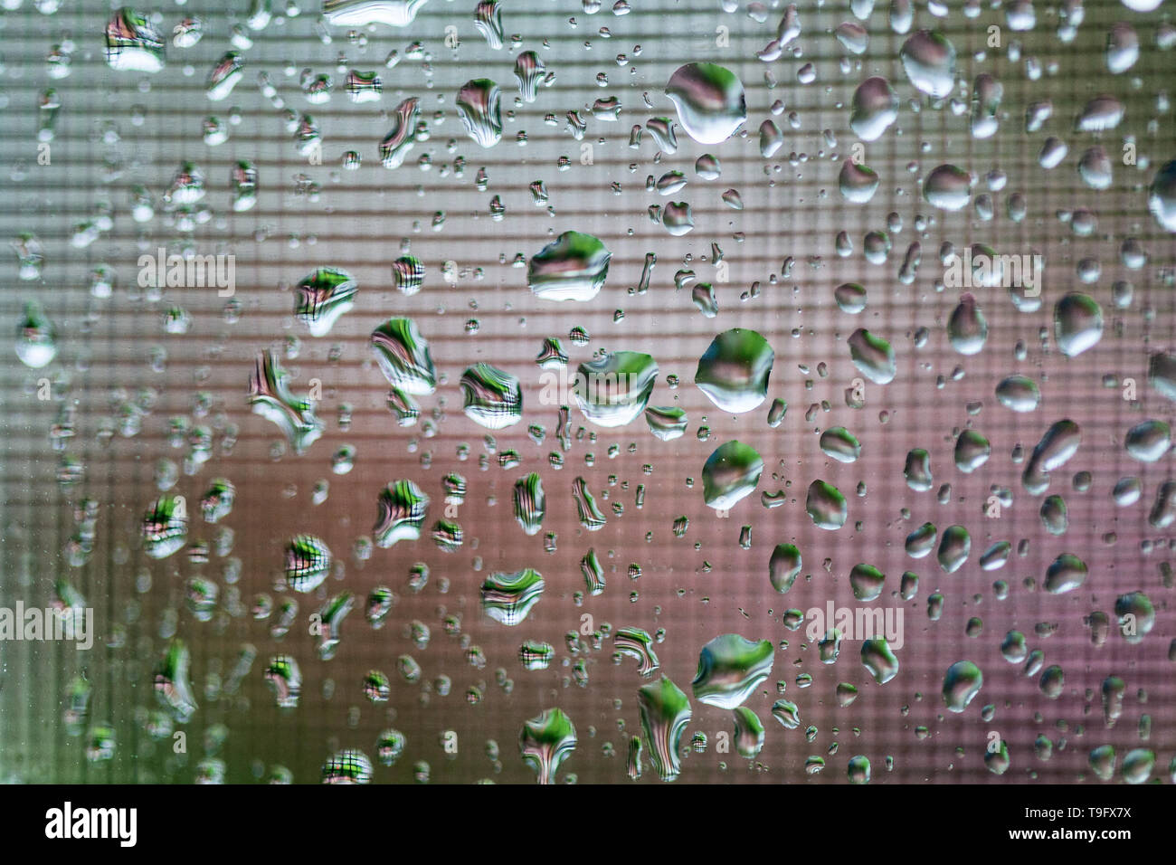 Drops of water on a window screen reveal patterns and designs Stock ...
