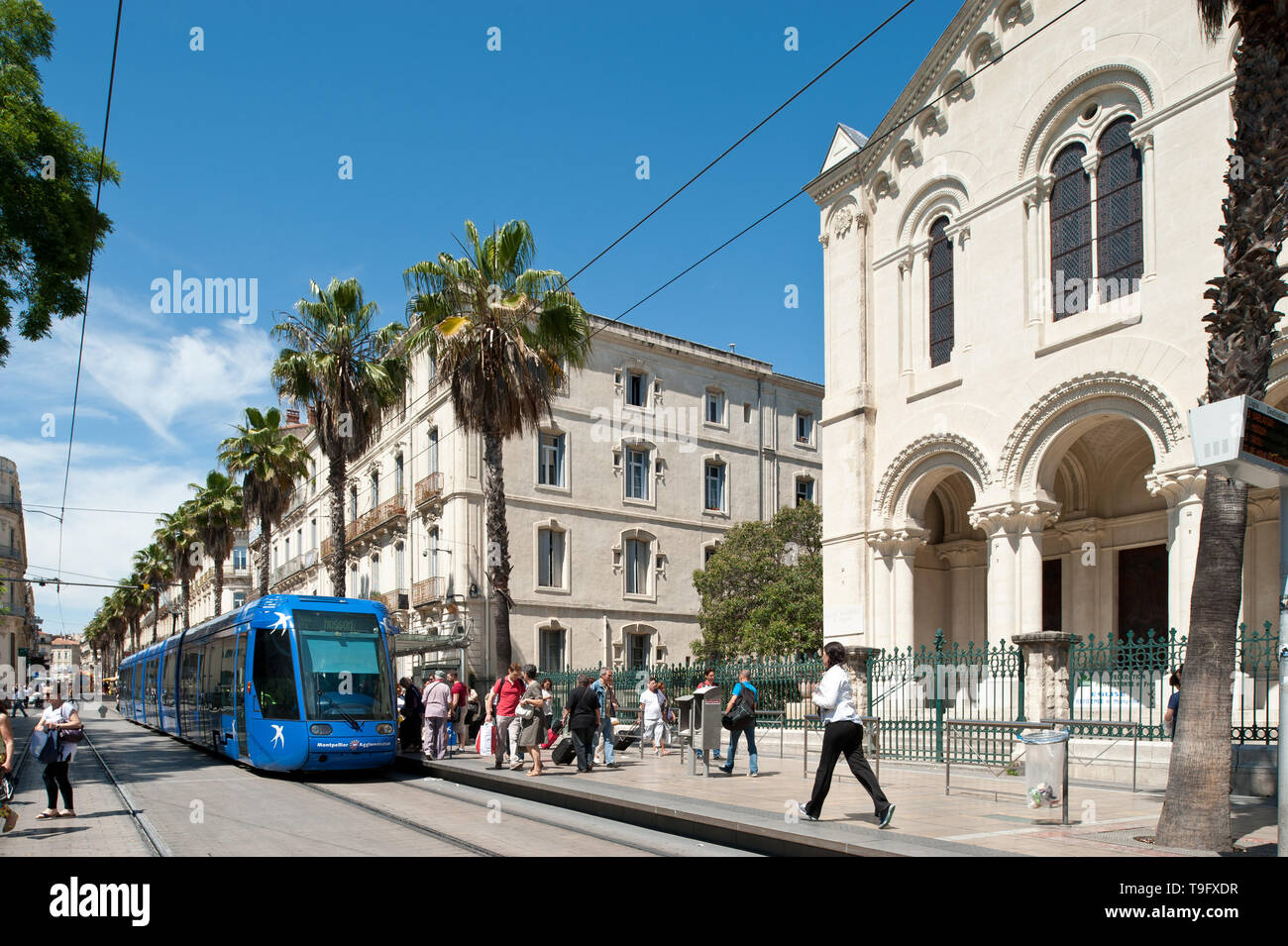 Montpellier st roch hi-res stock photography and images - Alamy