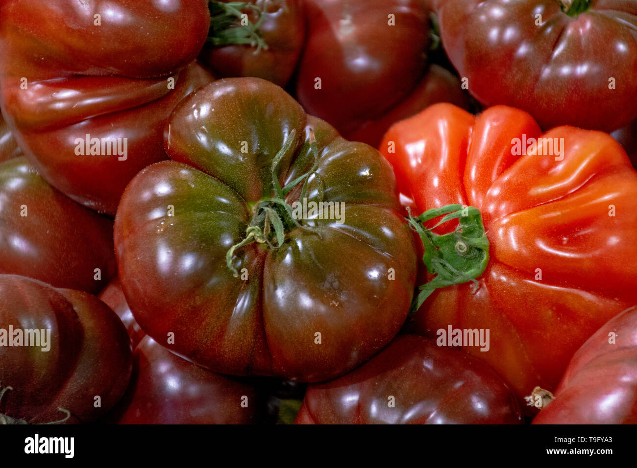 Market tomatoes tomatos heirloom hi-res stock photography and images ...