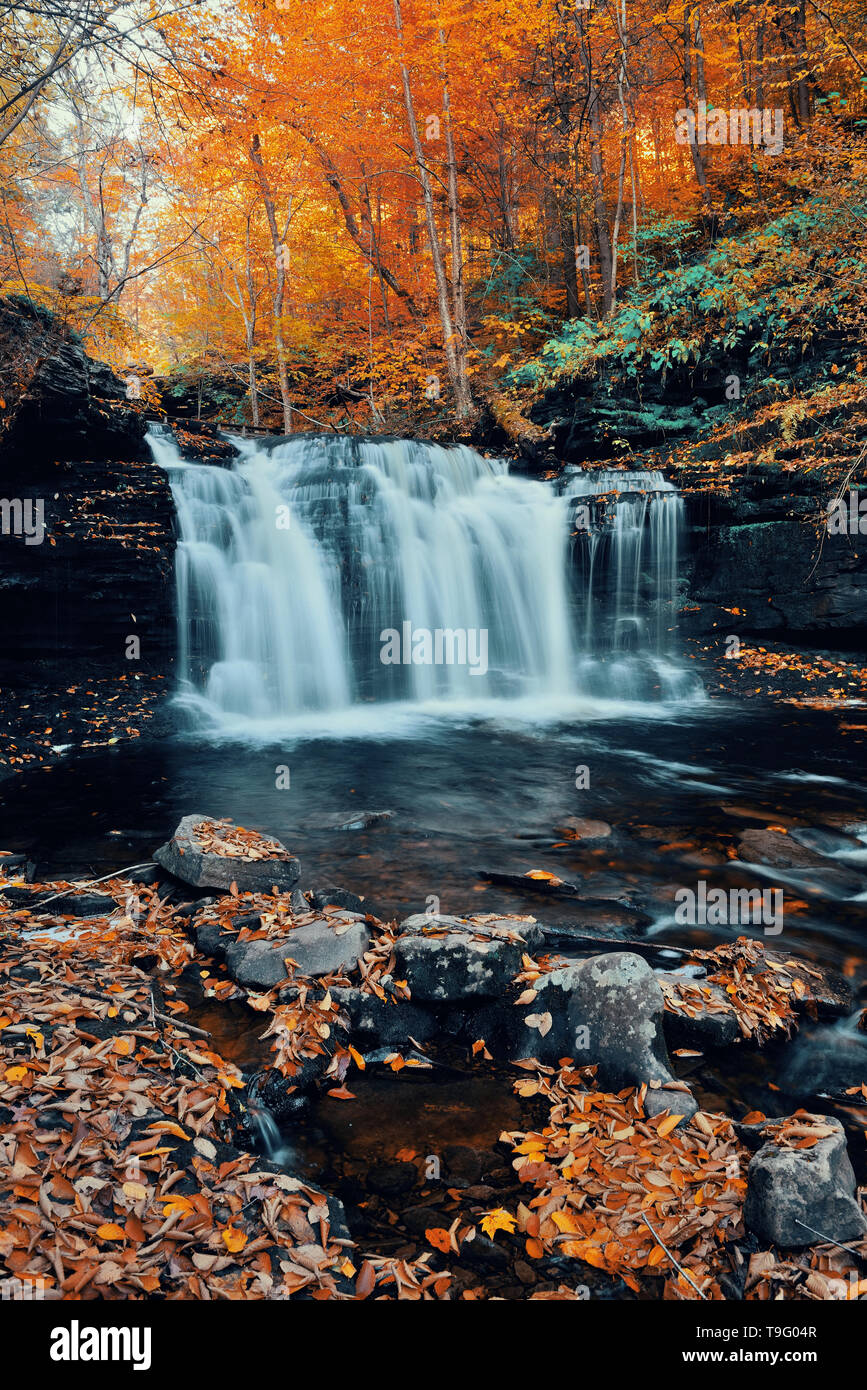 Autumn waterfalls in park with colorful foliage Stock Photo - Alamy