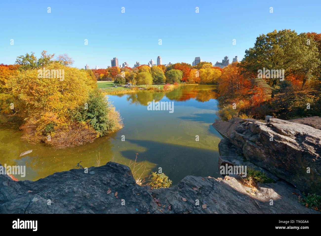 Lake and Autumn foliage with apartment buildings in Central Park of ...