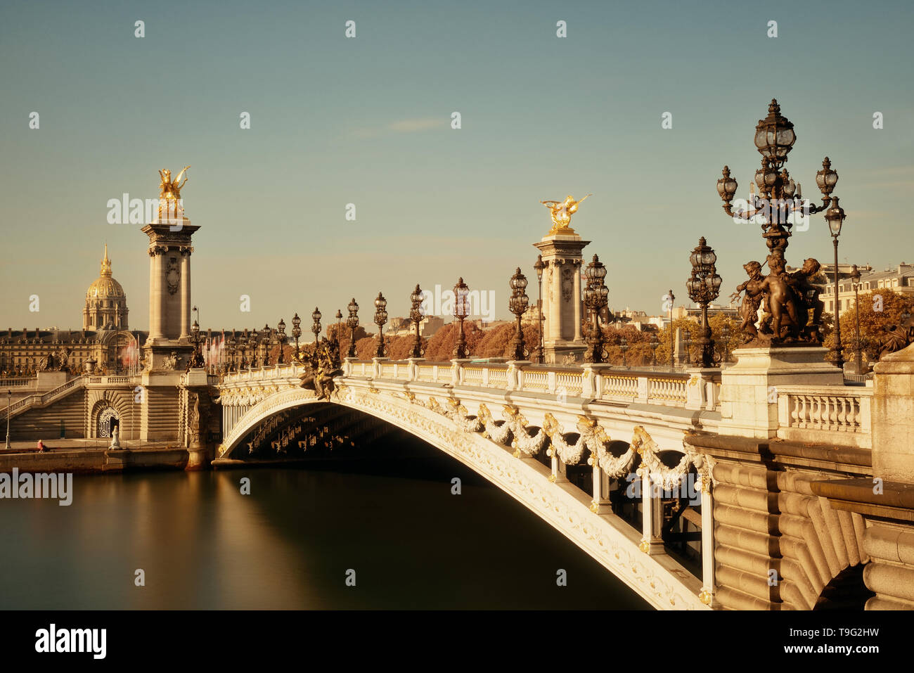 Alexandre III bridge and Napoleon tomb in Paris, France Stock Photo - Alamy