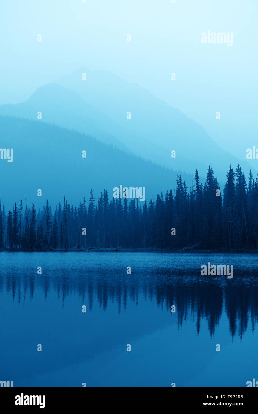 Foggy mountain lake and forest in Banff National Park Stock Photo - Alamy