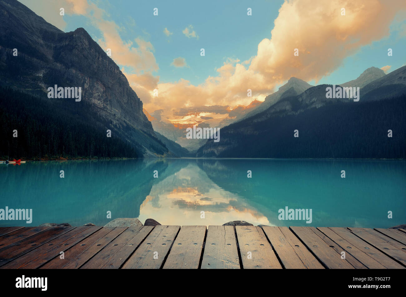 Rain forest jasper hi-res stock photography and images - Alamy