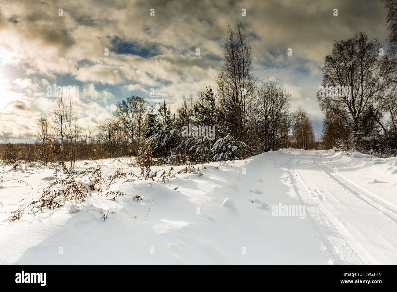 Picture of snowy landscape and cloudy sky Stock Photo - Alamy