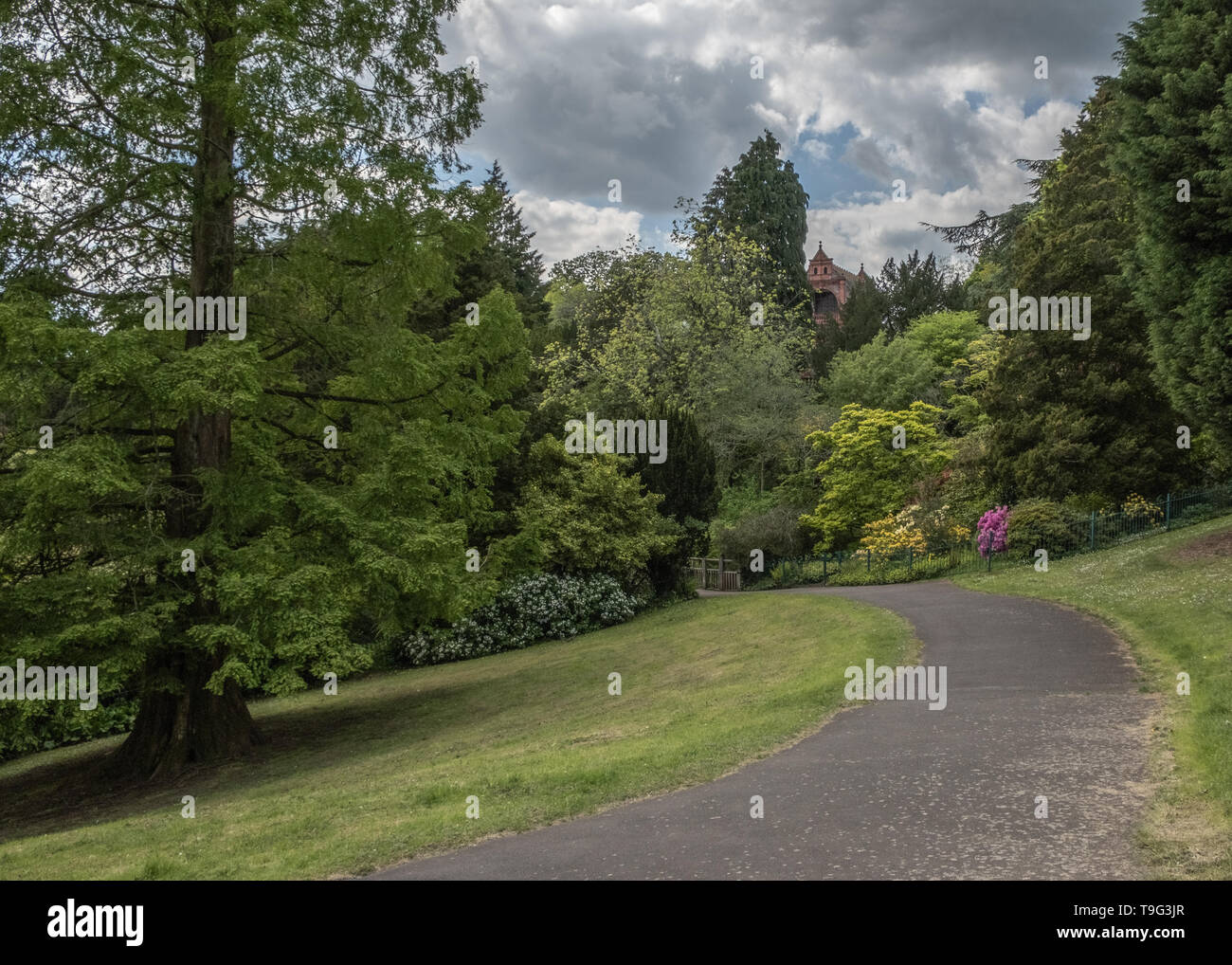 Cardiff road hi-res stock photography and images - Alamy