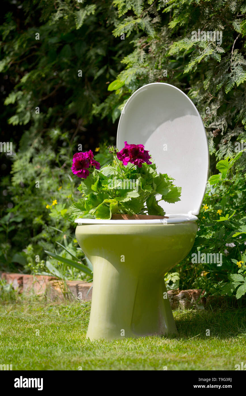 green toilet in garden with flowers Stock Photo - Alamy