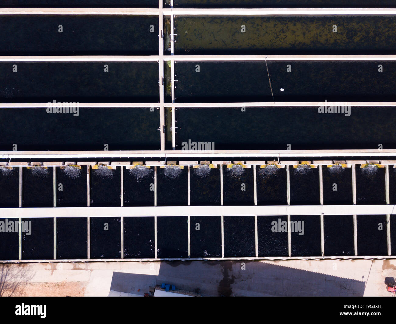 Top view of opened pools with swimming fish in trout fish farm Stock ...