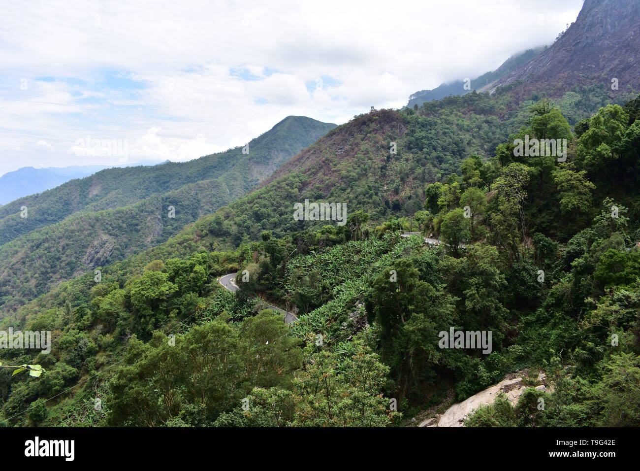 Eastern Ghats Hills