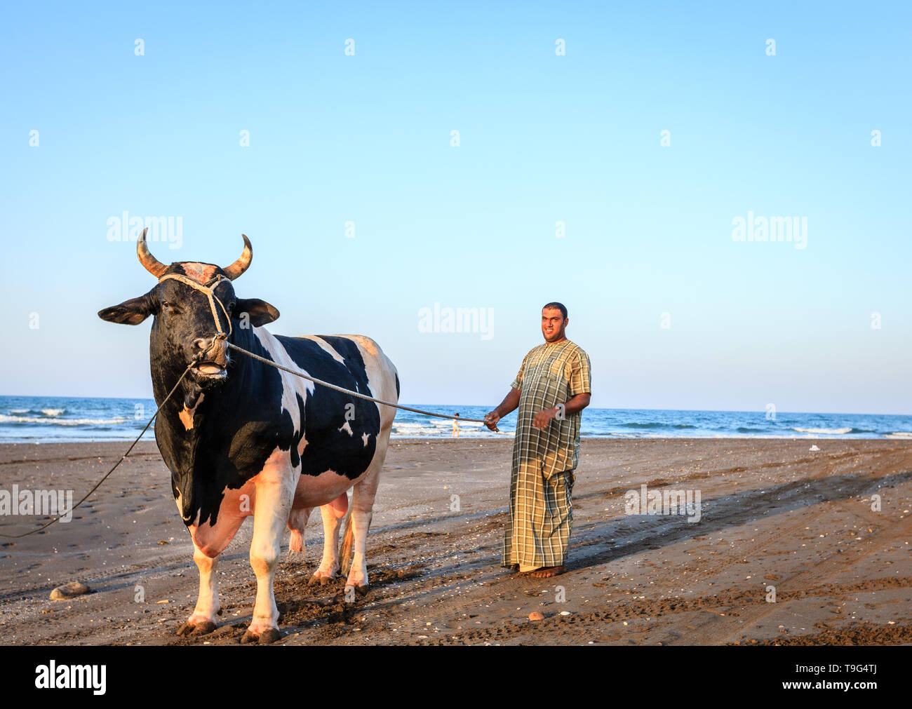 Black bull man hi-res stock photography and images - Alamy