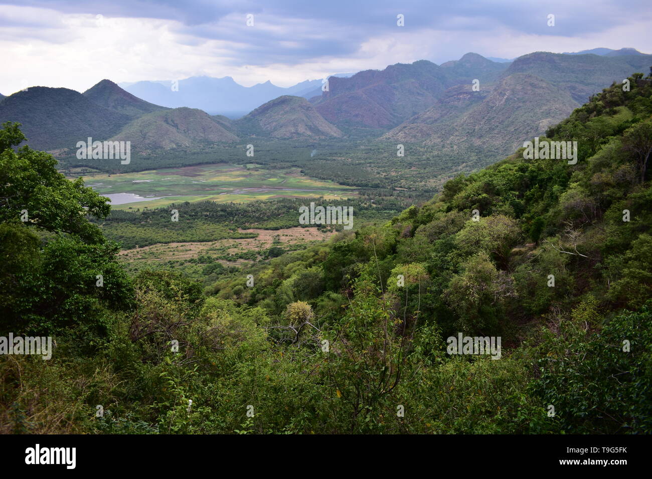 Green Valley View in Kodaikanal Hills Stock Photo - Alamy
