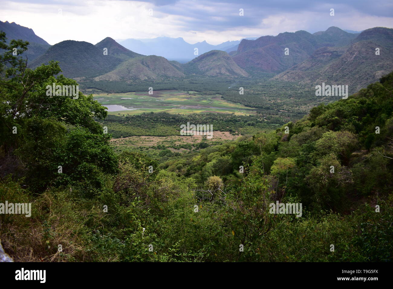Green Valley View in Kodaikanal Hills Stock Photo - Alamy