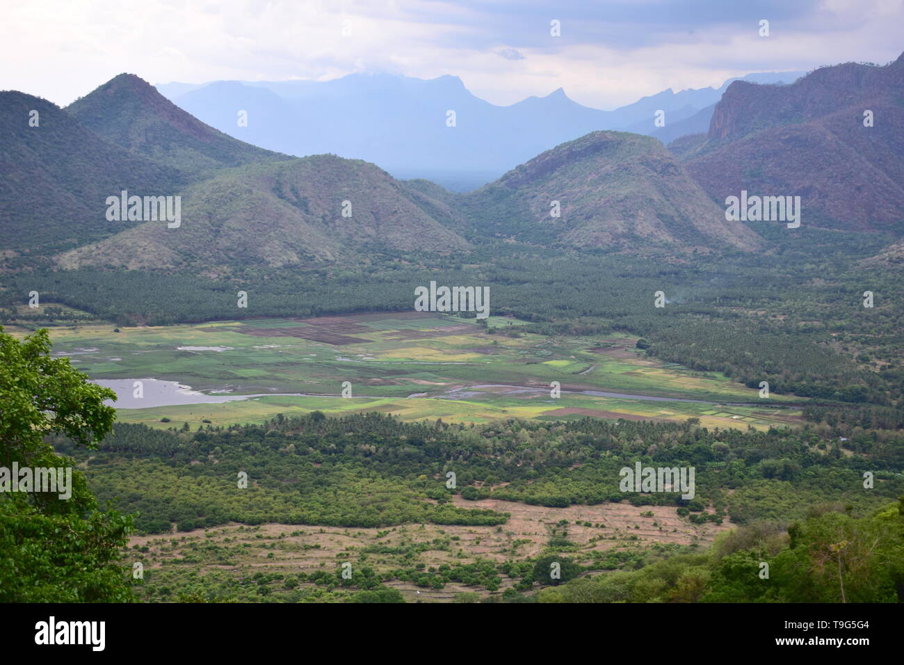 Green Valley View in Kodaikanal Hills Stock Photo - Alamy